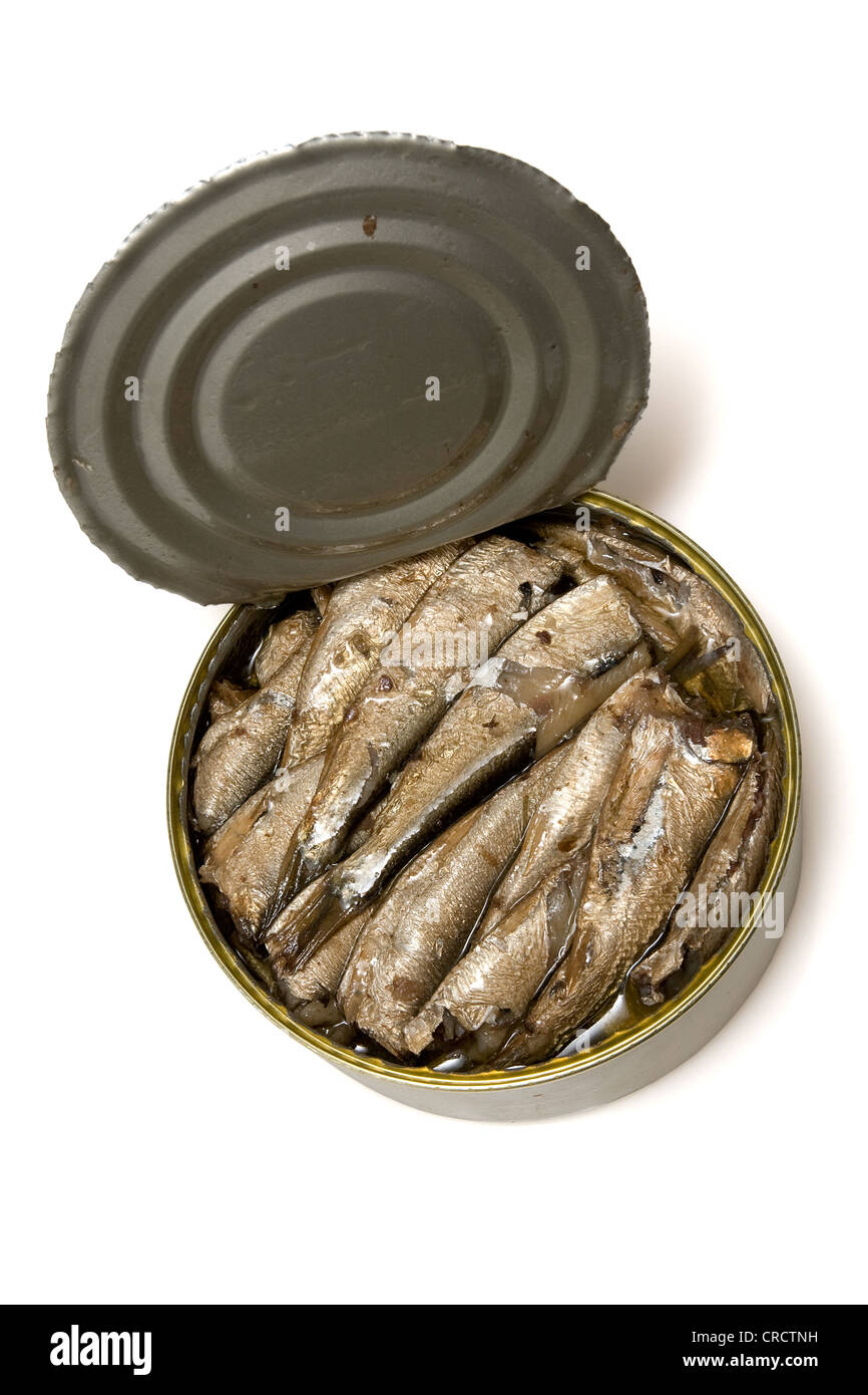 Sprat fish canned on a white background Stock Photo - Alamy