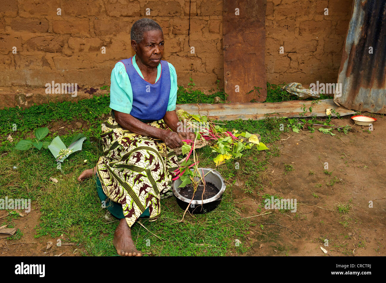 Old woman sitting outside the house hi-res stock photography and images ...