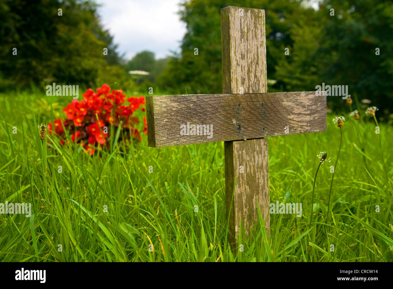 Cross and Flowers in Saint Leonard's Church, Sheepstor, Devon, England ...