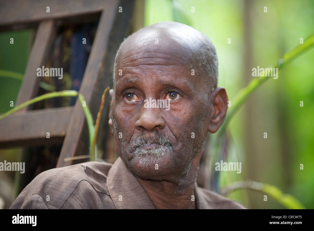 Elderly man in a village near Bukoba, Tanzania, Africa Stock Photo - Alamy