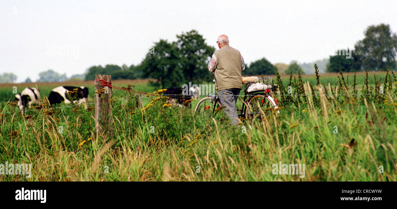Walkers in the landscape hi-res stock photography and images - Alamy
