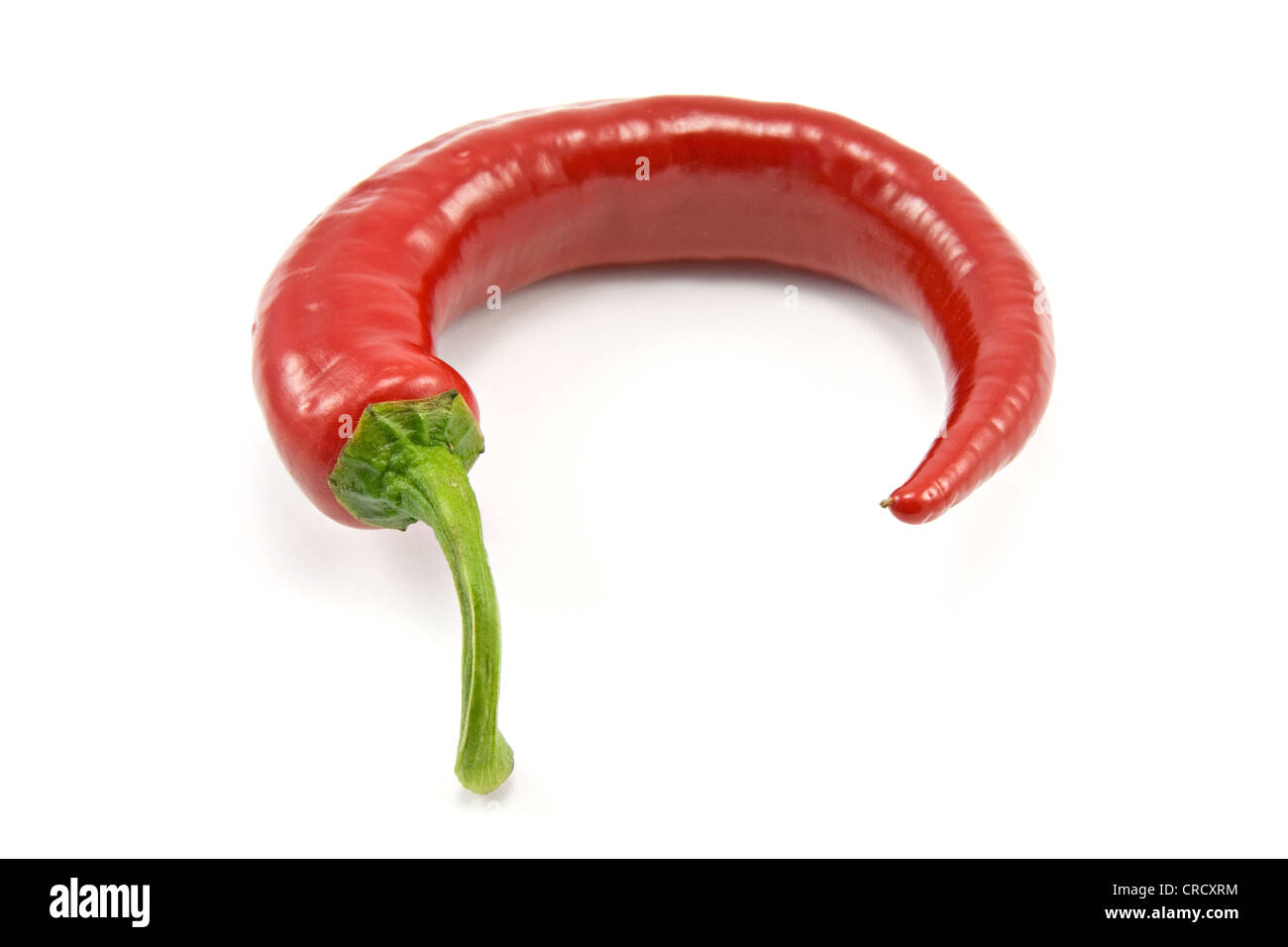 single red chili pepper on white background Stock Photo - Alamy