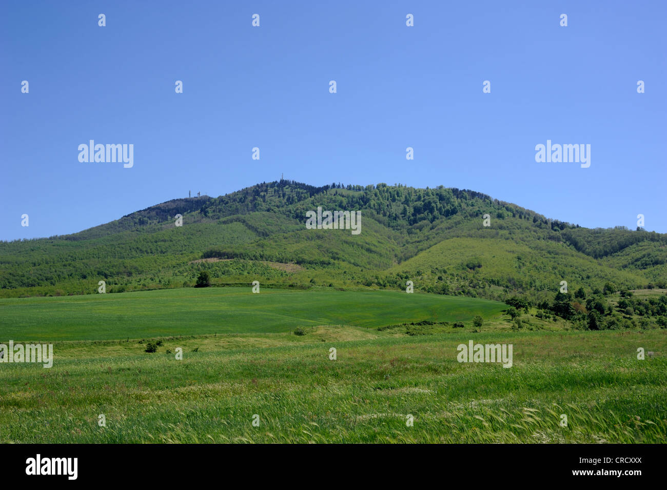 Italy, Basilicata, Mount Vulture Stock Photo - Alamy