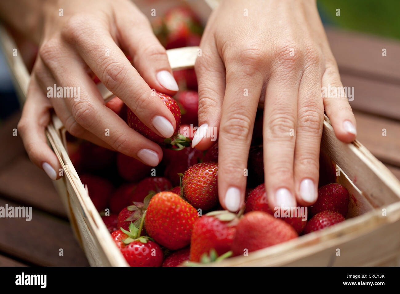 Hand at strawberries Stock Photo - Alamy