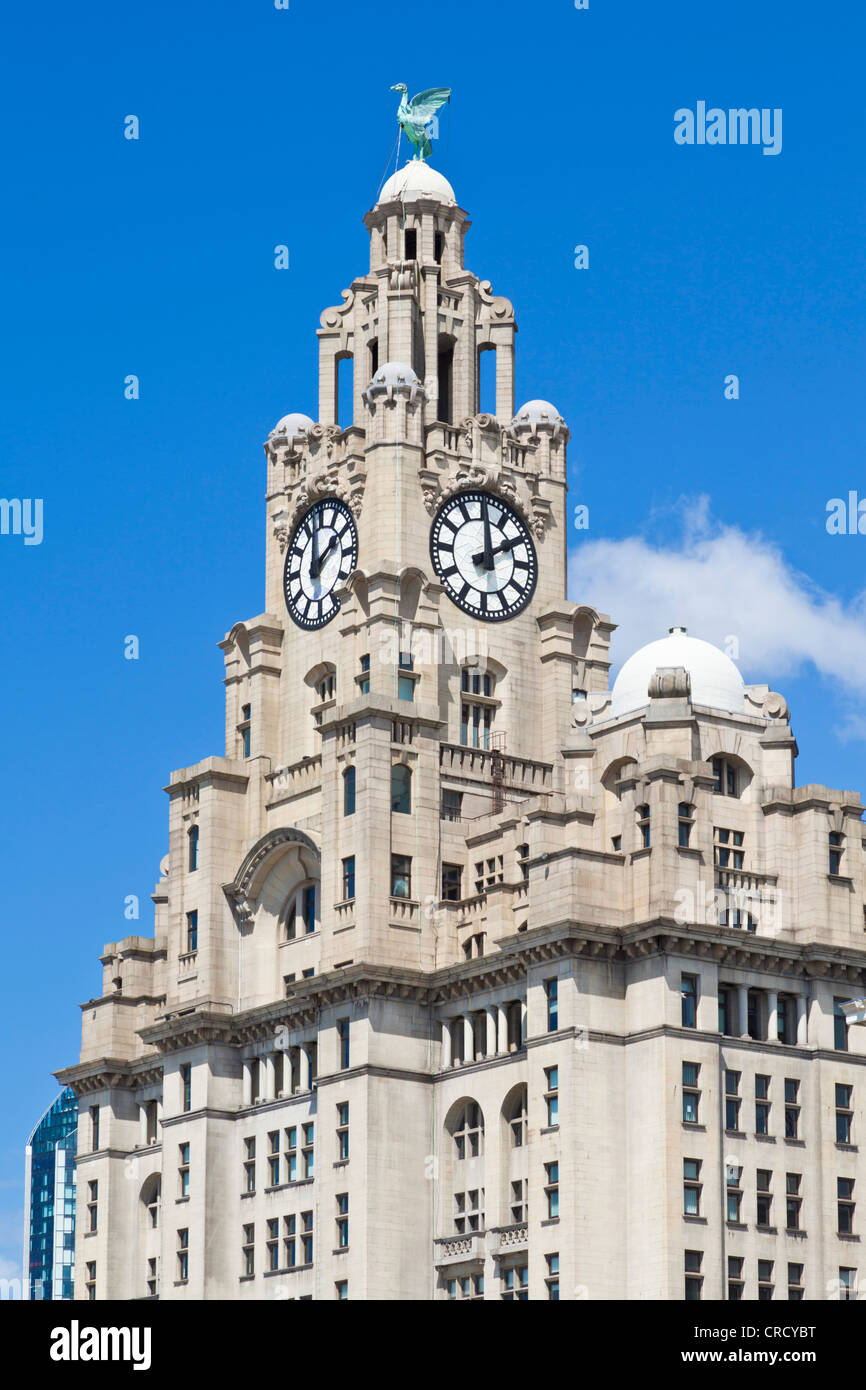 Liver building Liverpool waterfront Merseyside England uk gb eu europe ...