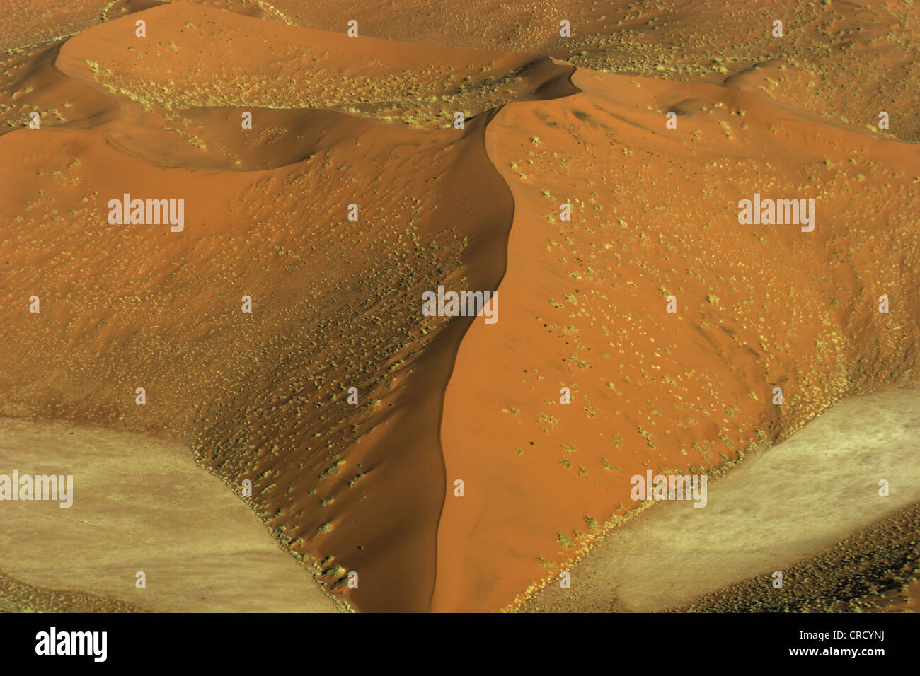 Star Dune High Resolution Stock Photography and Images - Alamy