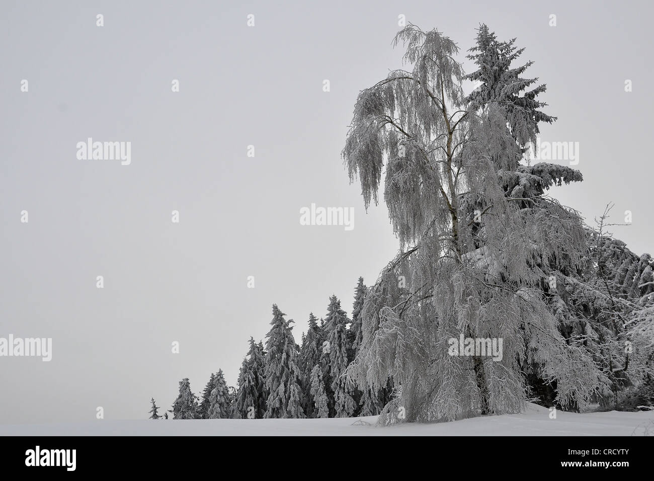 Rennsteig ridge walk hi-res stock photography and images - Alamy