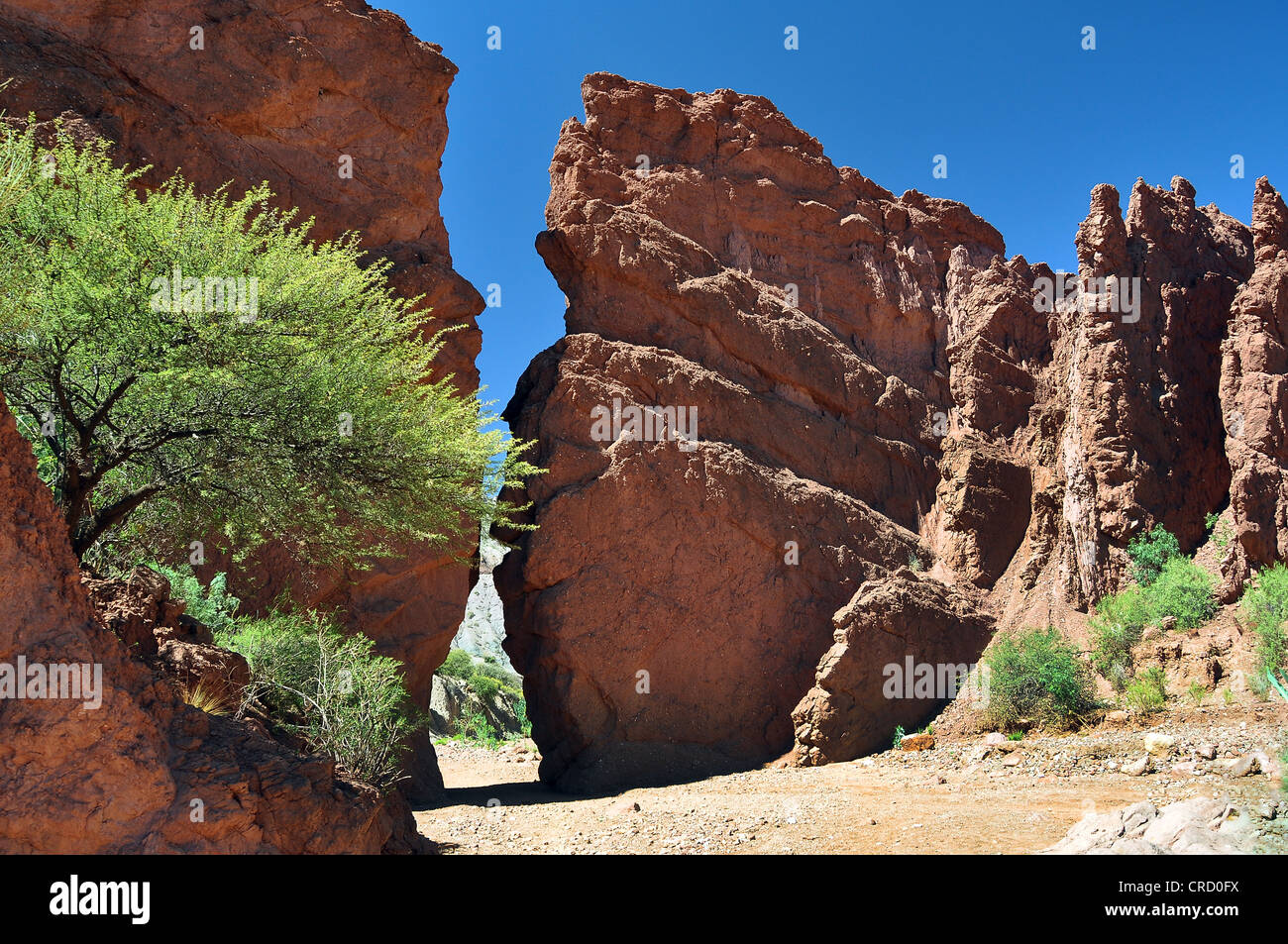 Narrow gate hi-res stock photography and images - Alamy