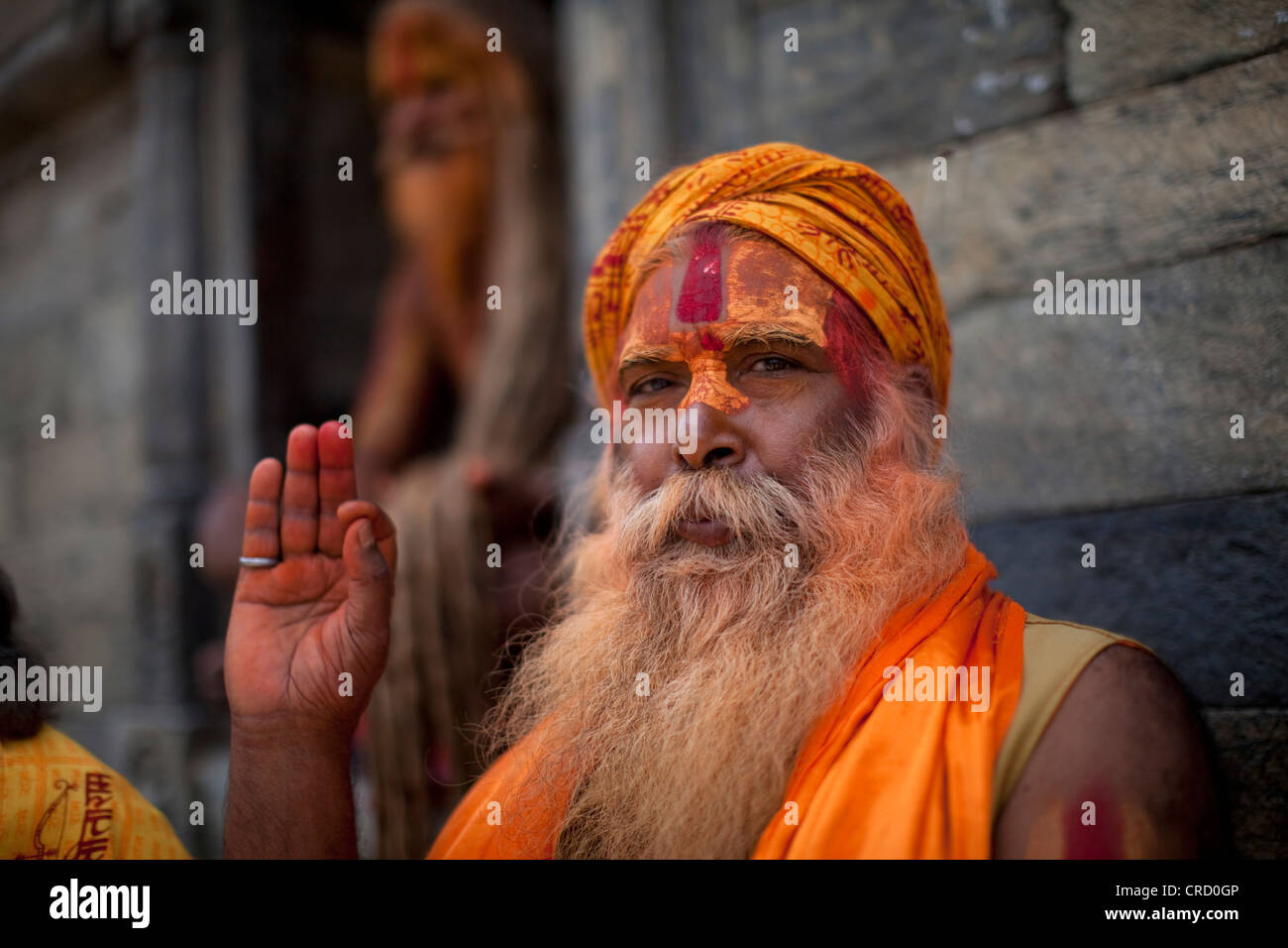 A Hindu priest, a sadhu and esthetic, with body paint poses in a ...