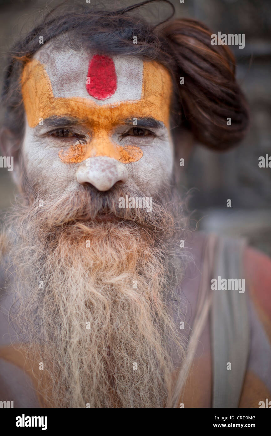 A Hindu priest, a sadhu and esthetic, with body paint poses in a ...