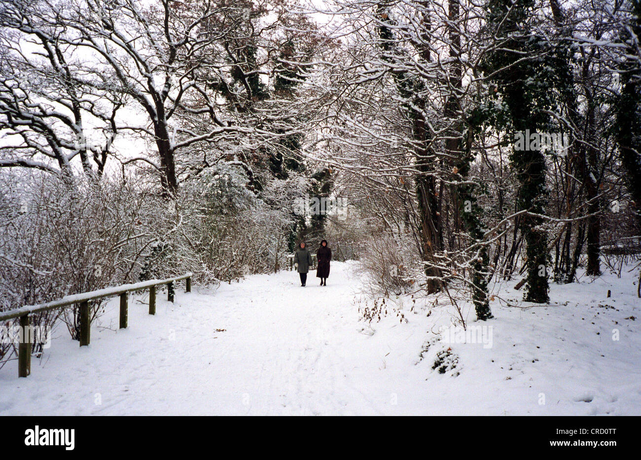 Walkers in the snow Stock Photo - Alamy