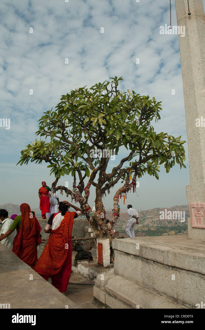 Prayer tree hi-res stock photography and images - Alamy