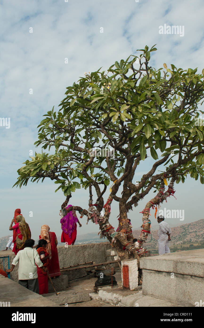 Pilgrims at tree outside shrine to Hanuman, Monkey God, Hindu Stock ...