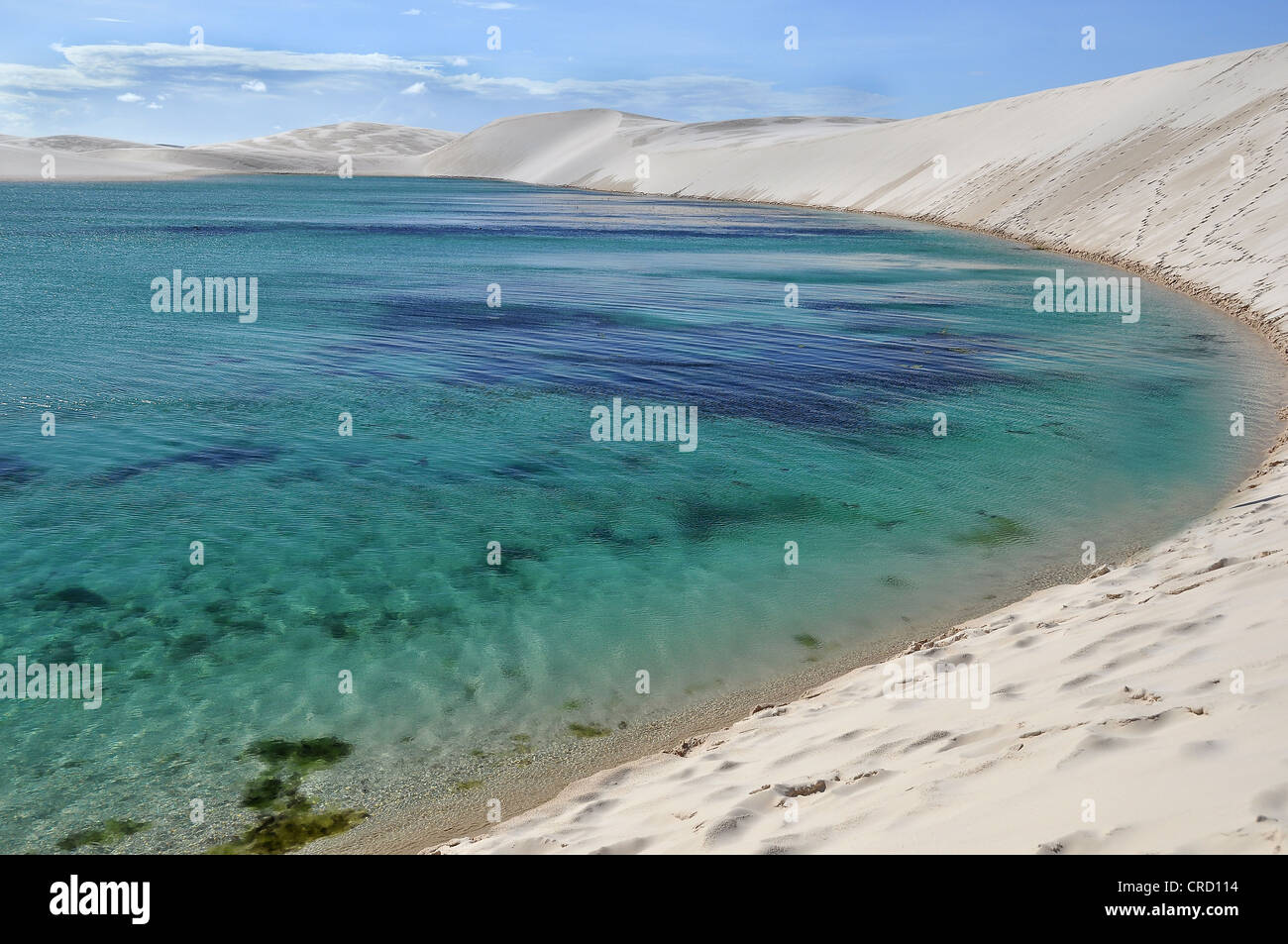 Crystal-clear lagoon in the desert of Lençóis Maranhenses, Maranhão ...