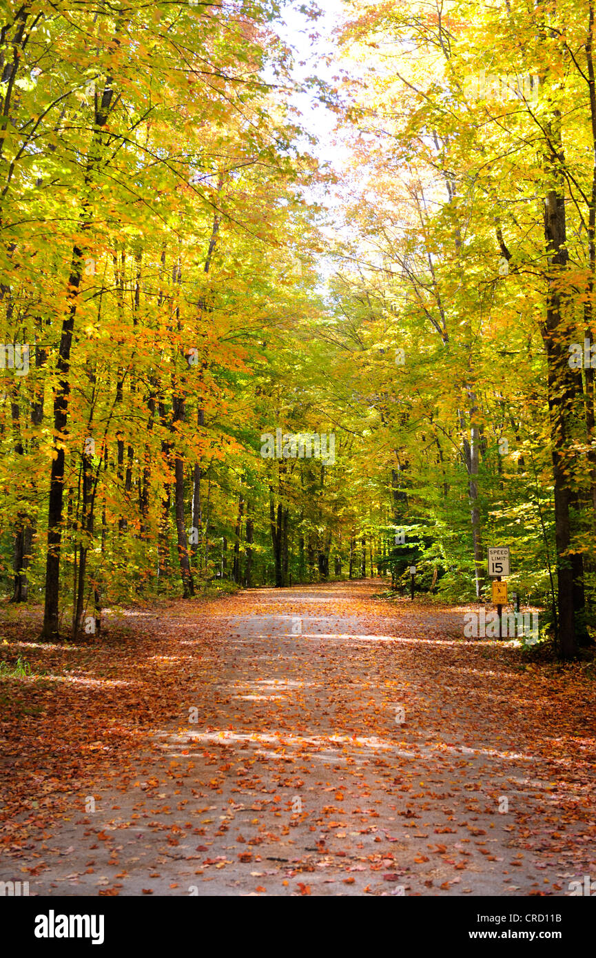Hiawatha National forest in Michigan Upper peninsula during autumn fall ...