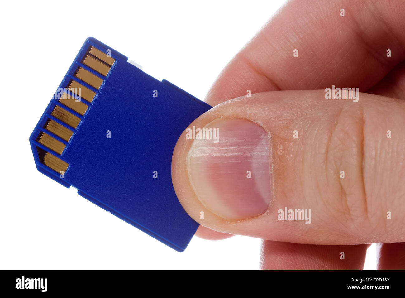 hand with blue sd memory card. isolated on white background Stock Photo ...