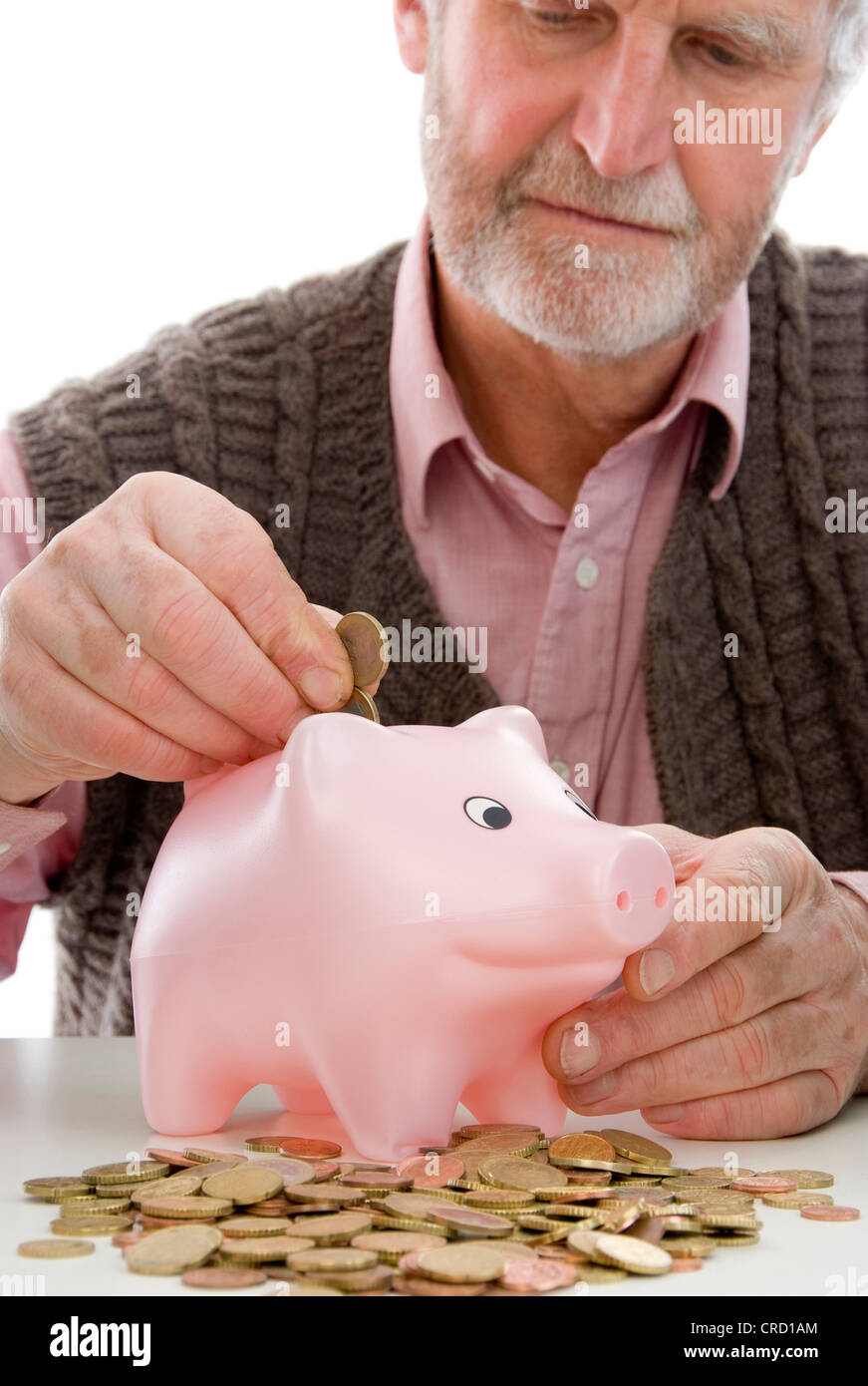 White skinned pigs hi-res stock photography and images - Alamy