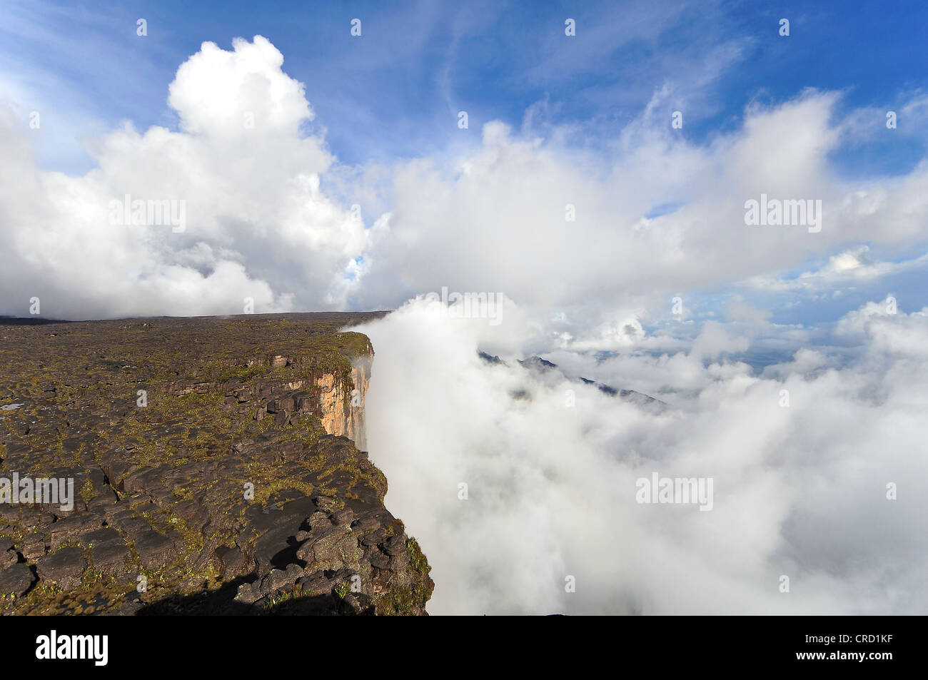 View from the top of the plateau of Mt Roraima table mountain, border ...