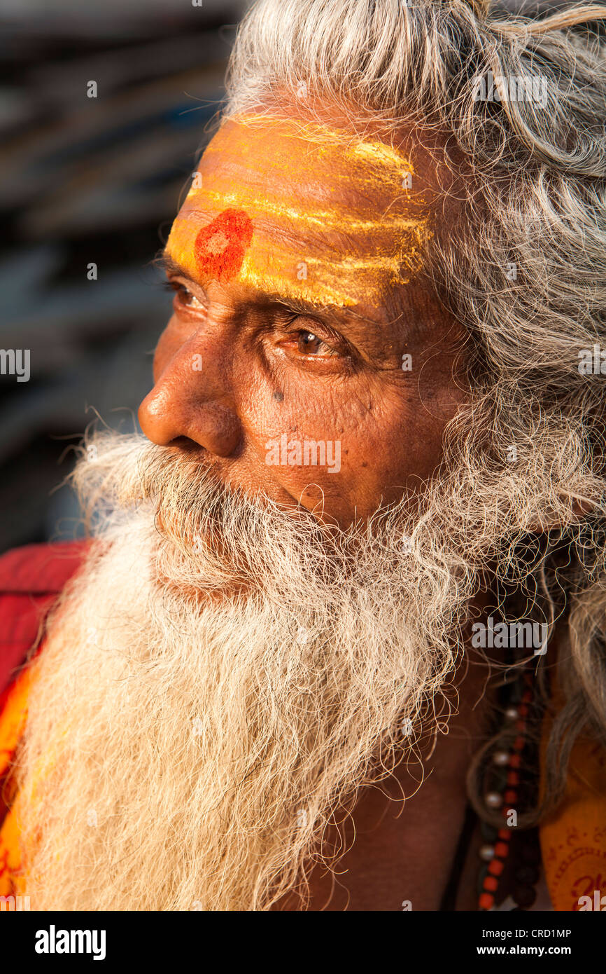 Sadhu (holy man) face in Varanasi, Uttar Pradesh, India Stock Photo - Alamy