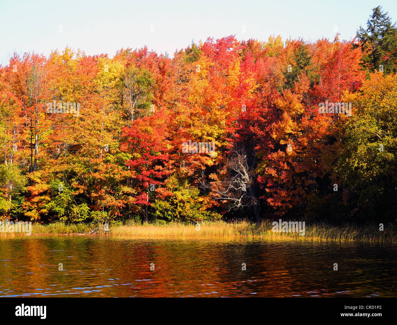 Hiawatha National forest in Michigan Upper peninsula during autumn fall ...