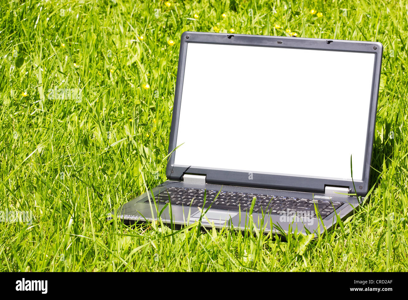 laptop with blank screen on the grass Stock Photo - Alamy