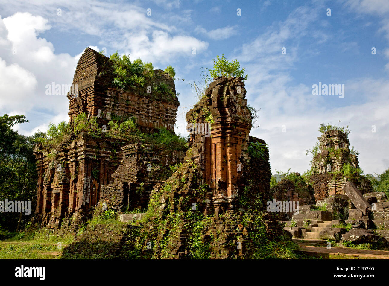 Near tam ky village hi-res stock photography and images - Alamy
