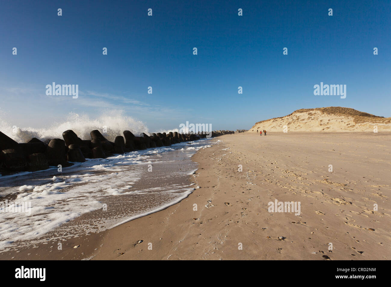 Tetrapod hi-res stock photography and images - Alamy