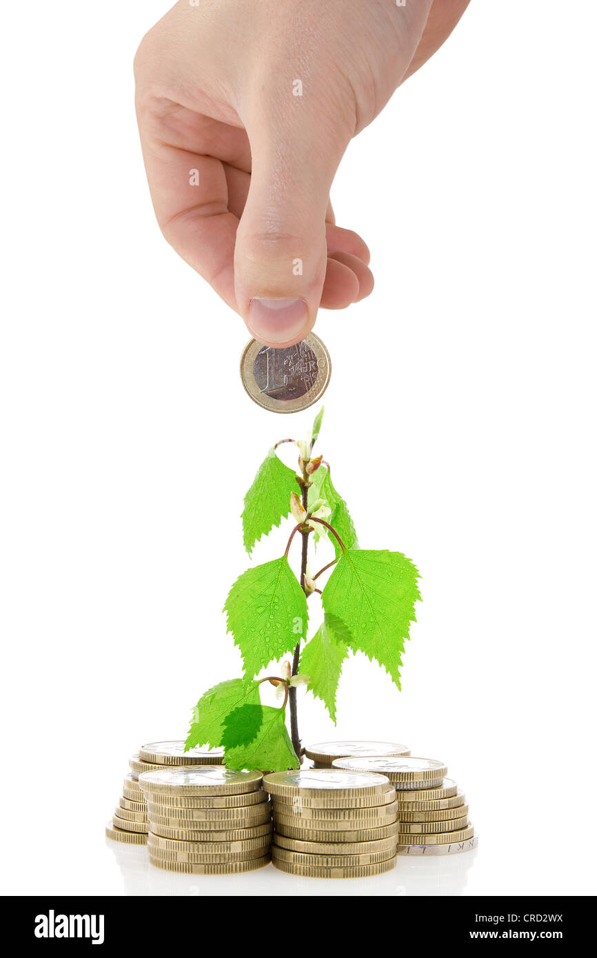 Hand with coin and money tree over a white background Stock Photo - Alamy