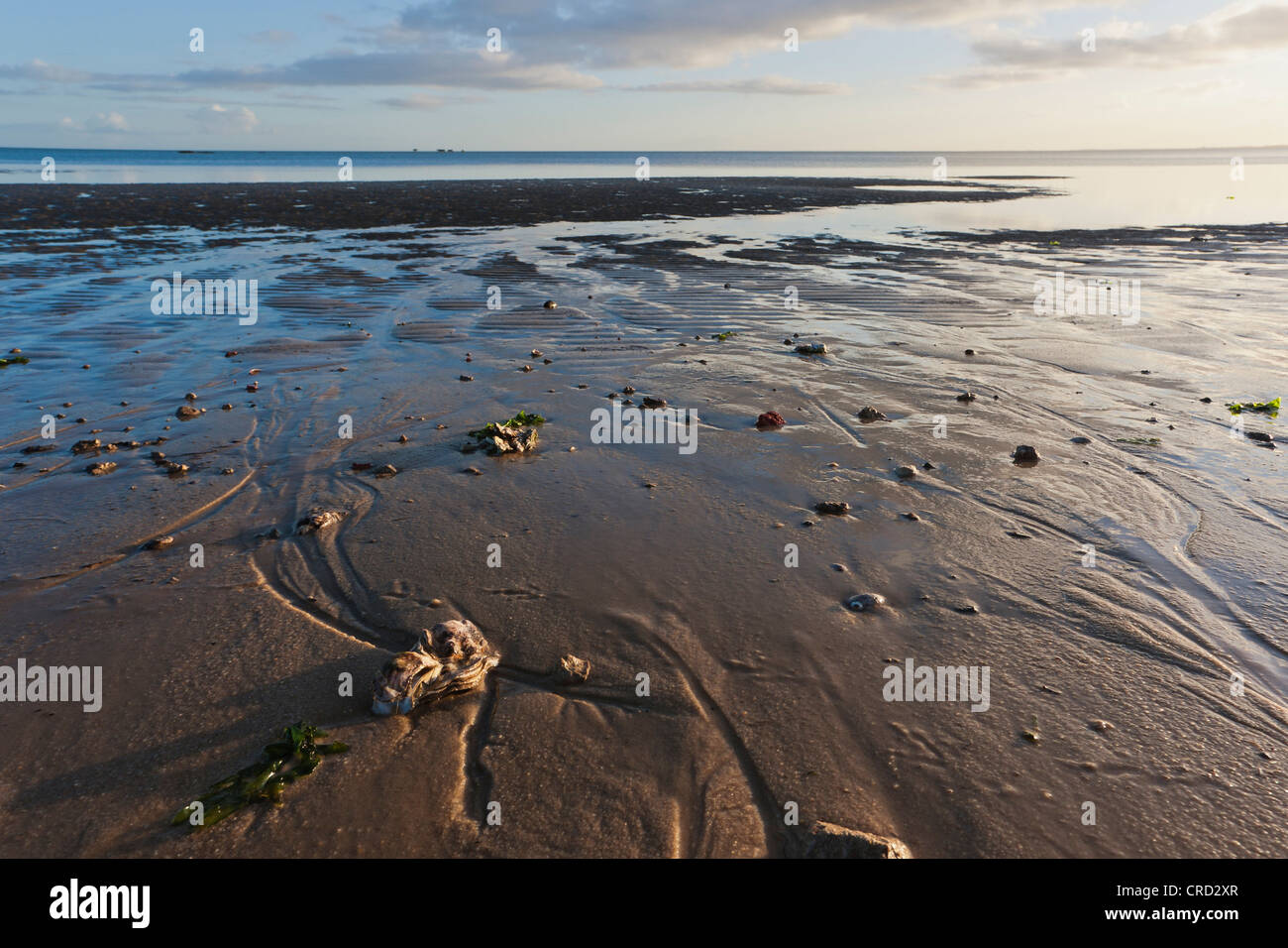 Wadden sea national park schleswig holstein hi-res stock photography ...