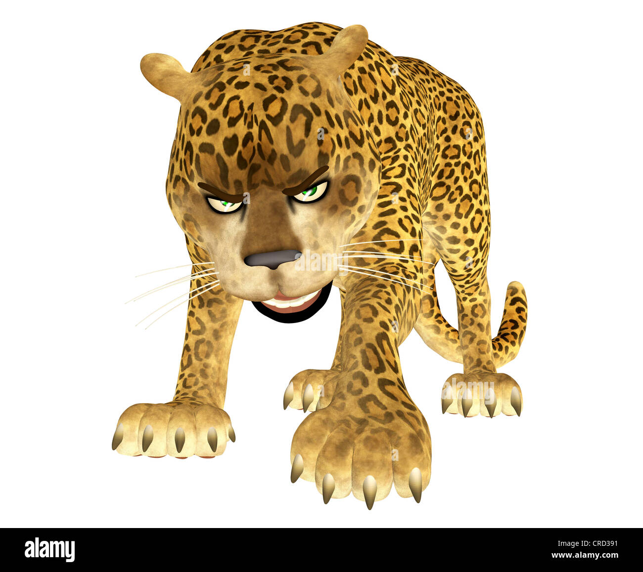 Angry Leopard