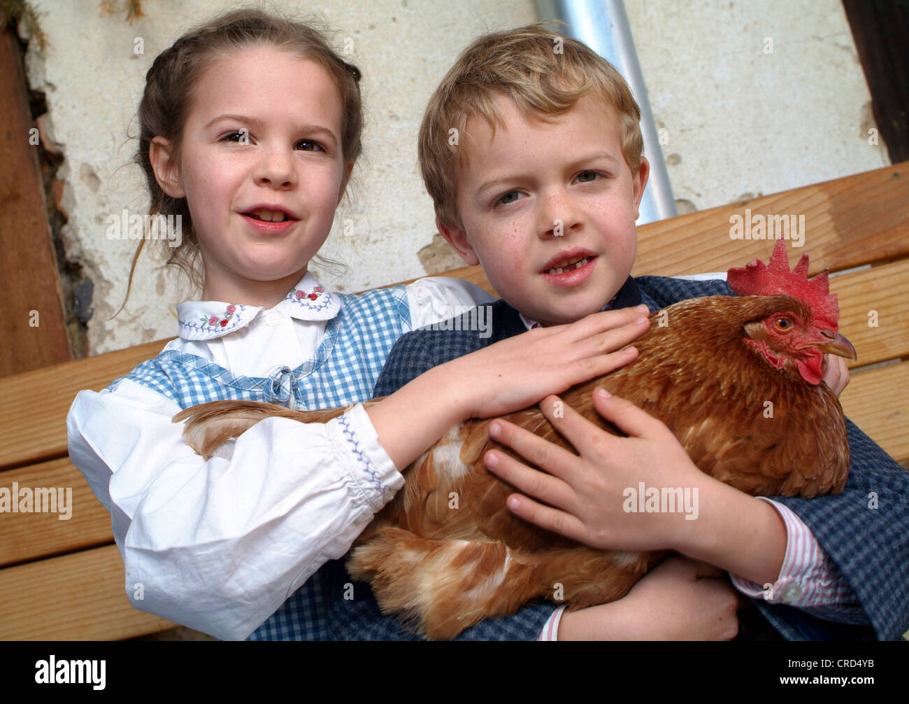 children with hen Stock Photo - Alamy