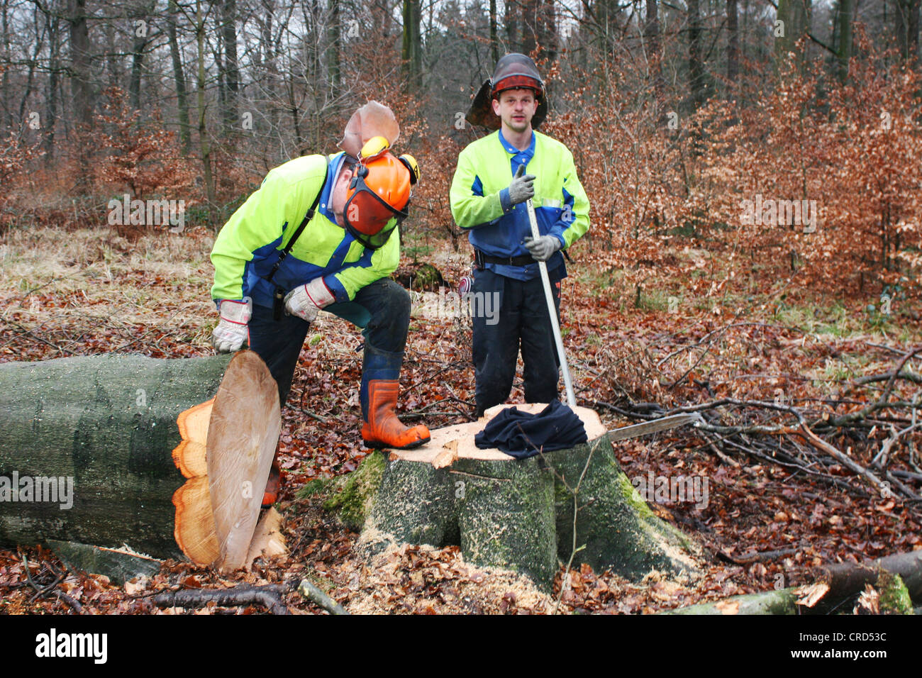 Lumbermen hi-res stock photography and images - Alamy