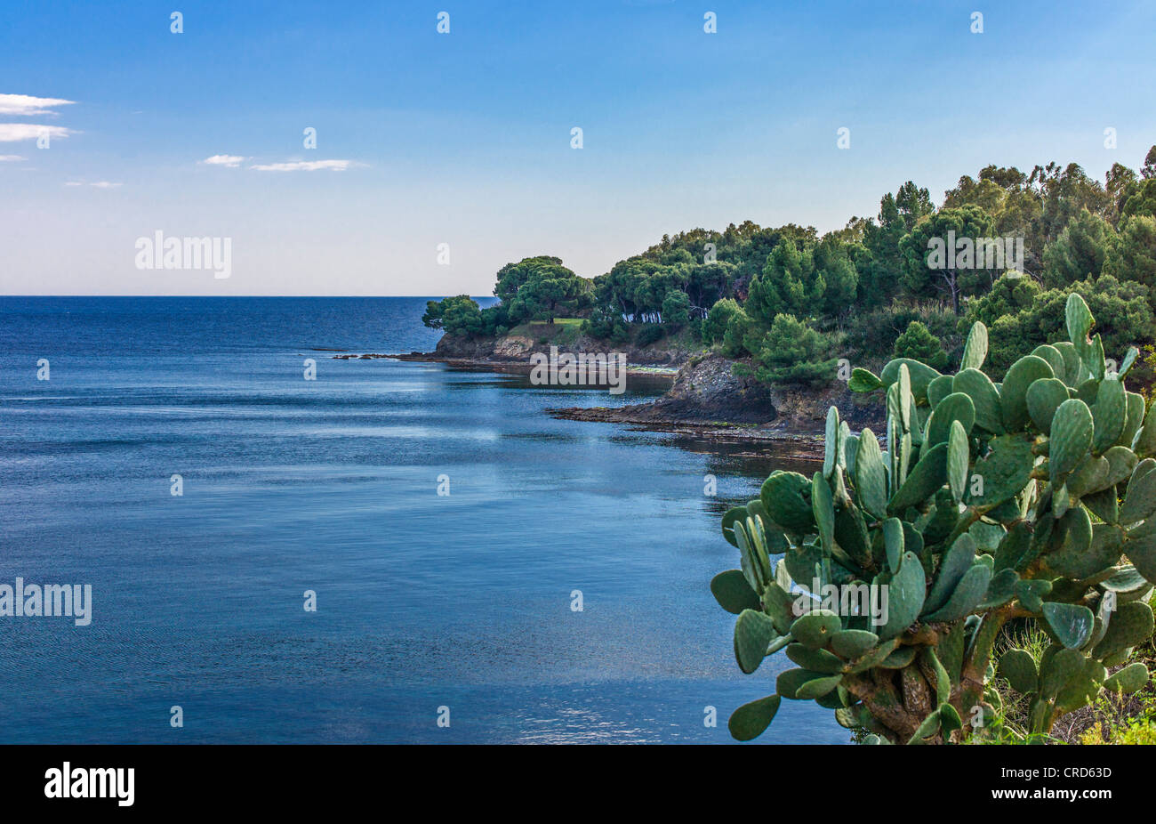 Cilento coast hi-res stock photography and images - Alamy