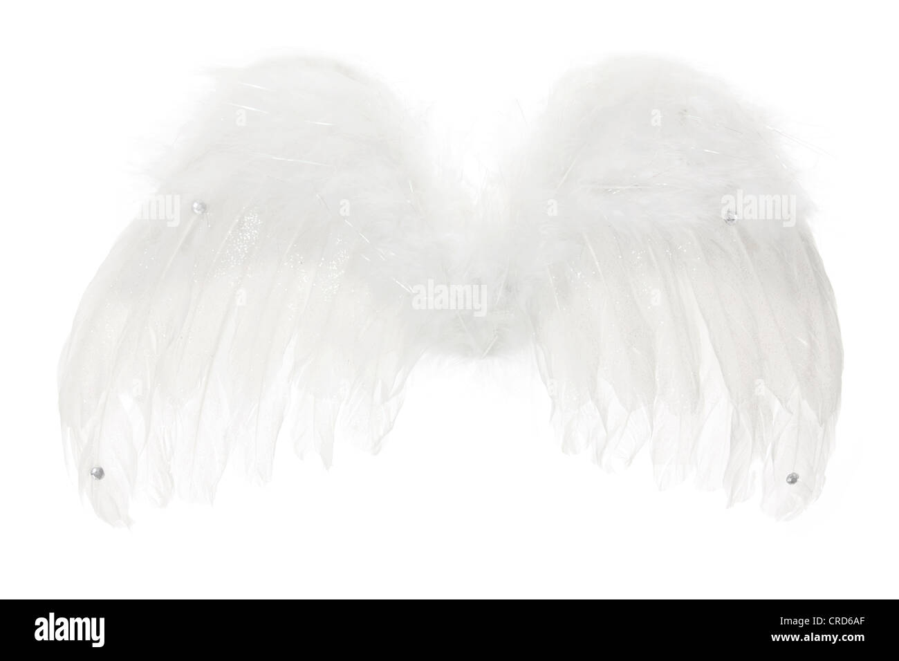 Angel wings feathers still life hi-res stock photography and images - Alamy