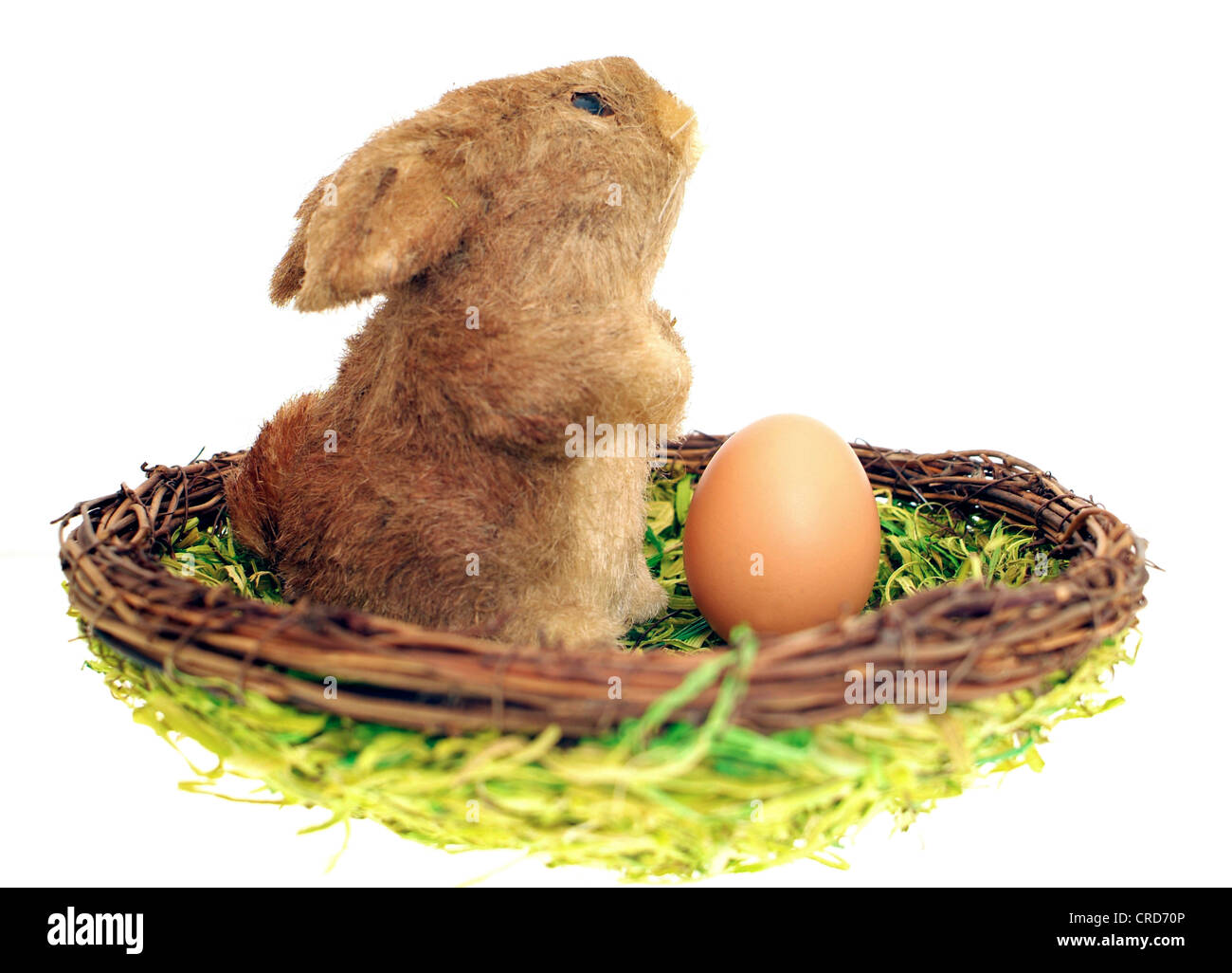 Hens eggs in nest hi-res stock photography and images - Alamy