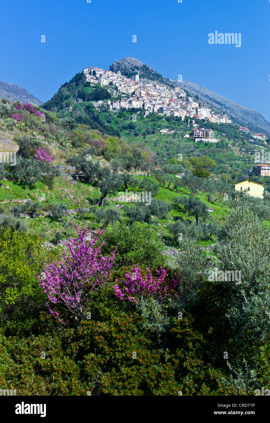Cilento hi-res stock photography and images - Alamy