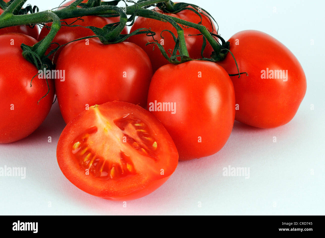 tomato (Lycopersicon lycopersicum), vine-ripened tomatoes, Germany ...
