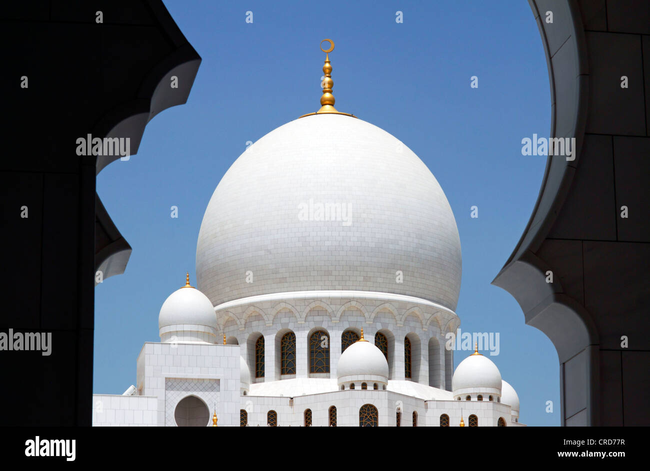 Sheikh Zayed Great Mosque, Abu Dhabi, United Arab Emirates, Asia Stock ...