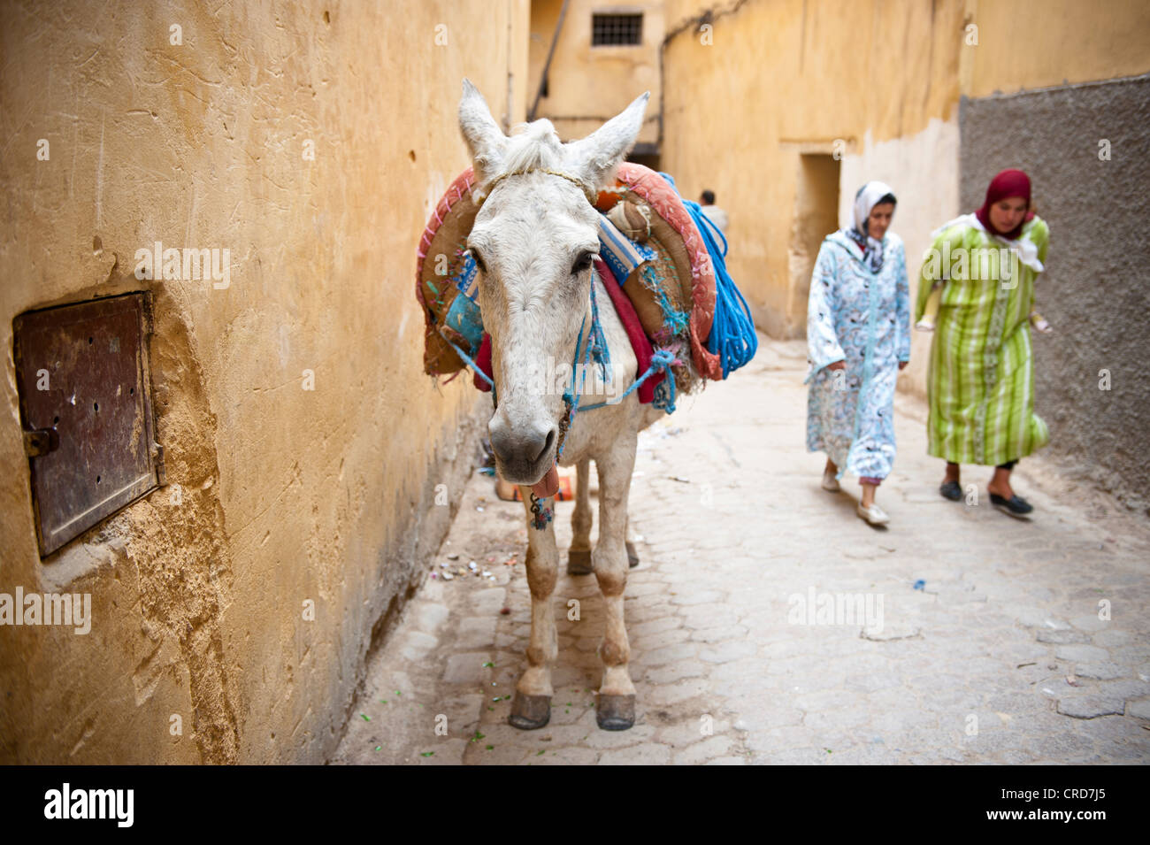 Two Muslim women walking in medina of Fez, Morocco Stock Photo - Alamy
