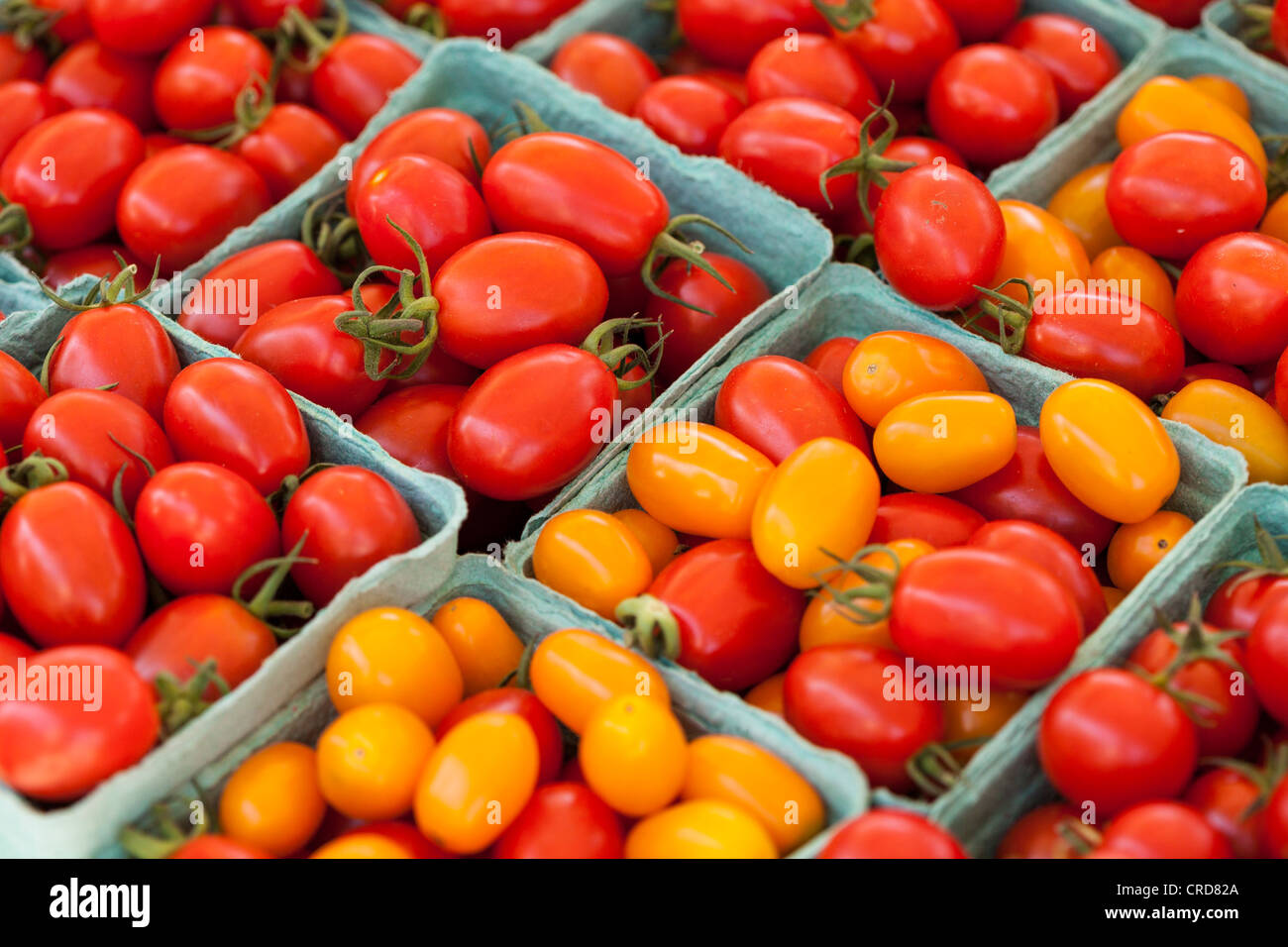 Grape Tomatoes in quart boxes for sale. A display of small grape ...