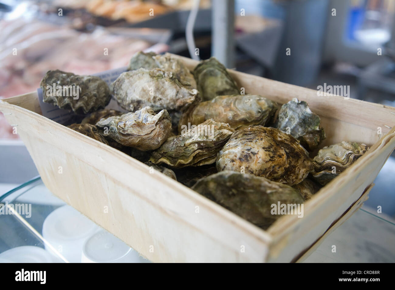 Eastern oyster hi-res stock photography and images - Alamy