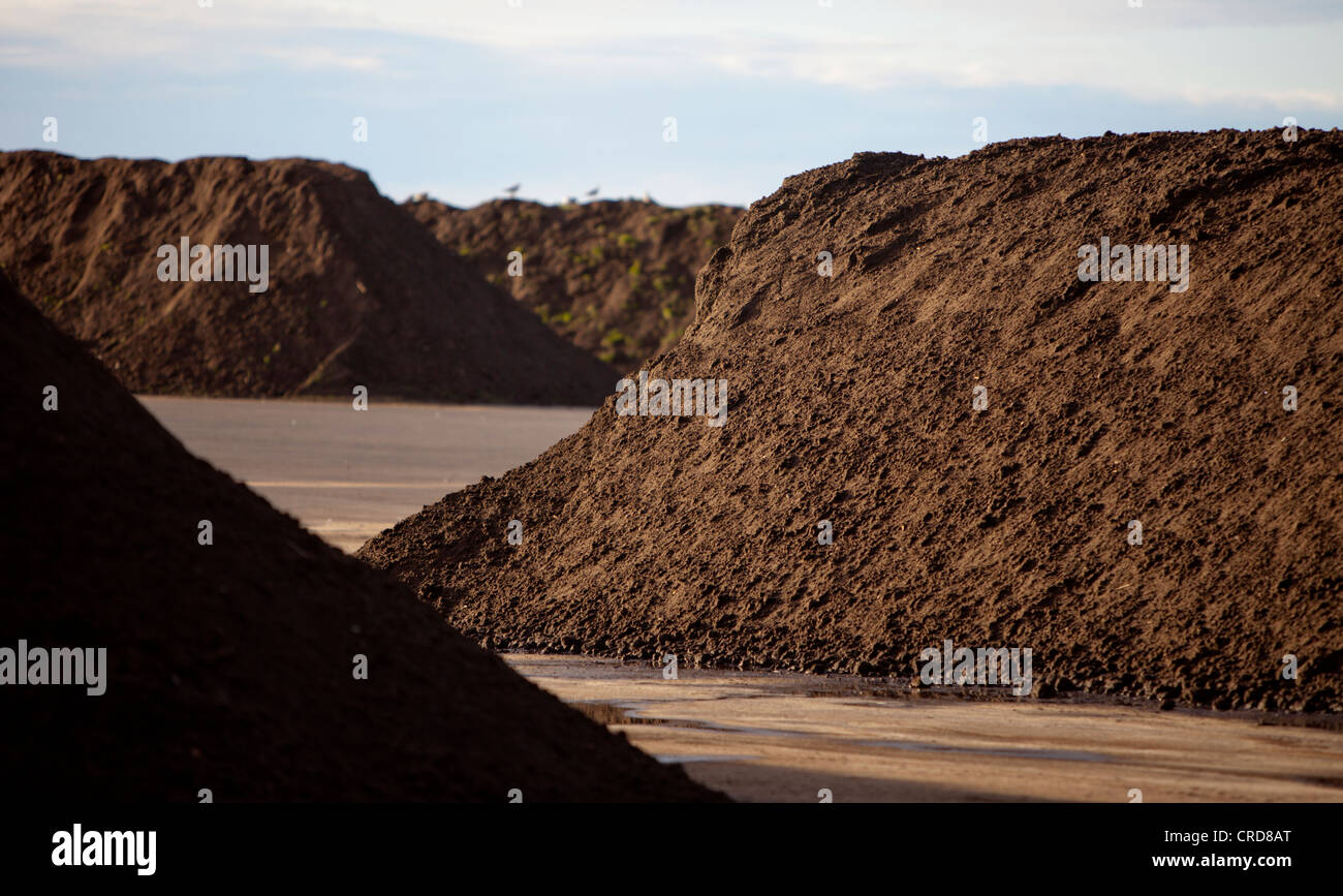 Composted human feces biomass, mixed with peat and dirt, decays to ...