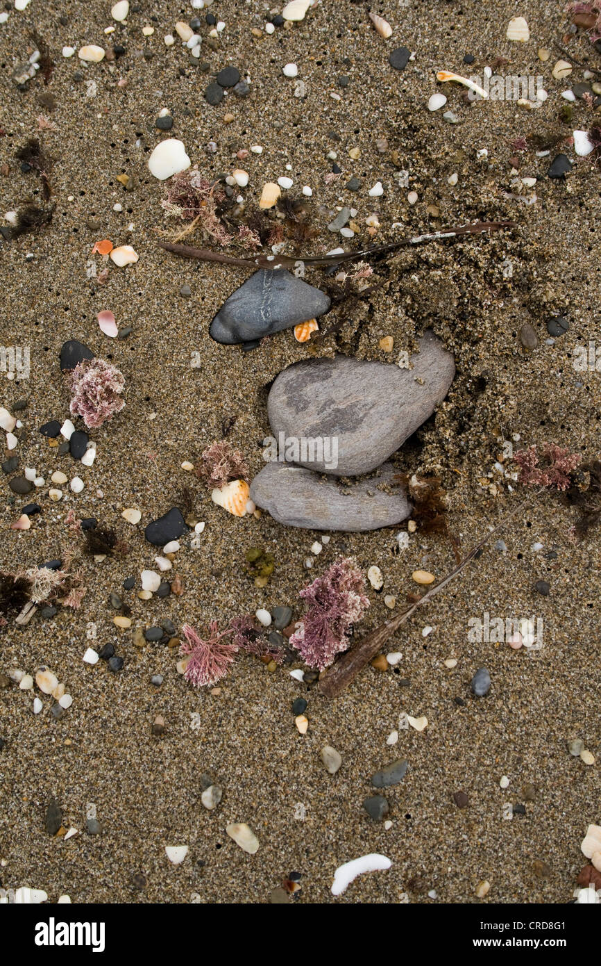 Pebbly sand hi-res stock photography and images - Alamy