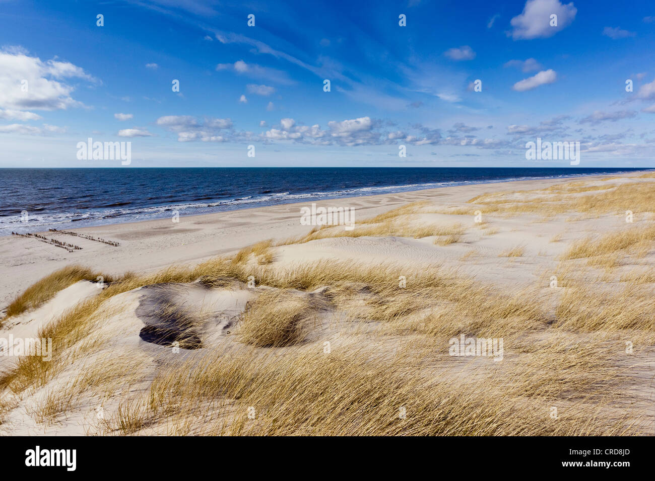 North sea sylt hi-res stock photography and images - Alamy
