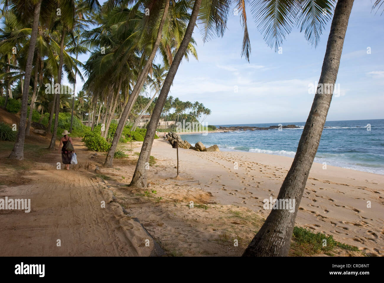 Path beside the beach Stock Photo - Alamy