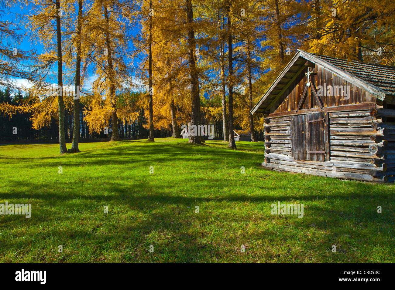Haystack in autumn agriculture with trees in the sky hi-res stock ...