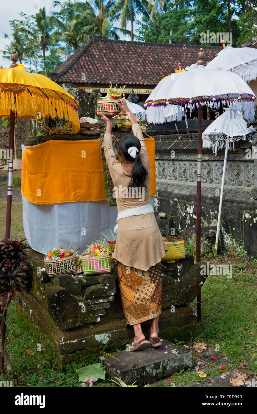 Every temple in Bali has a regularly scheduled festival, an odalan, to ...