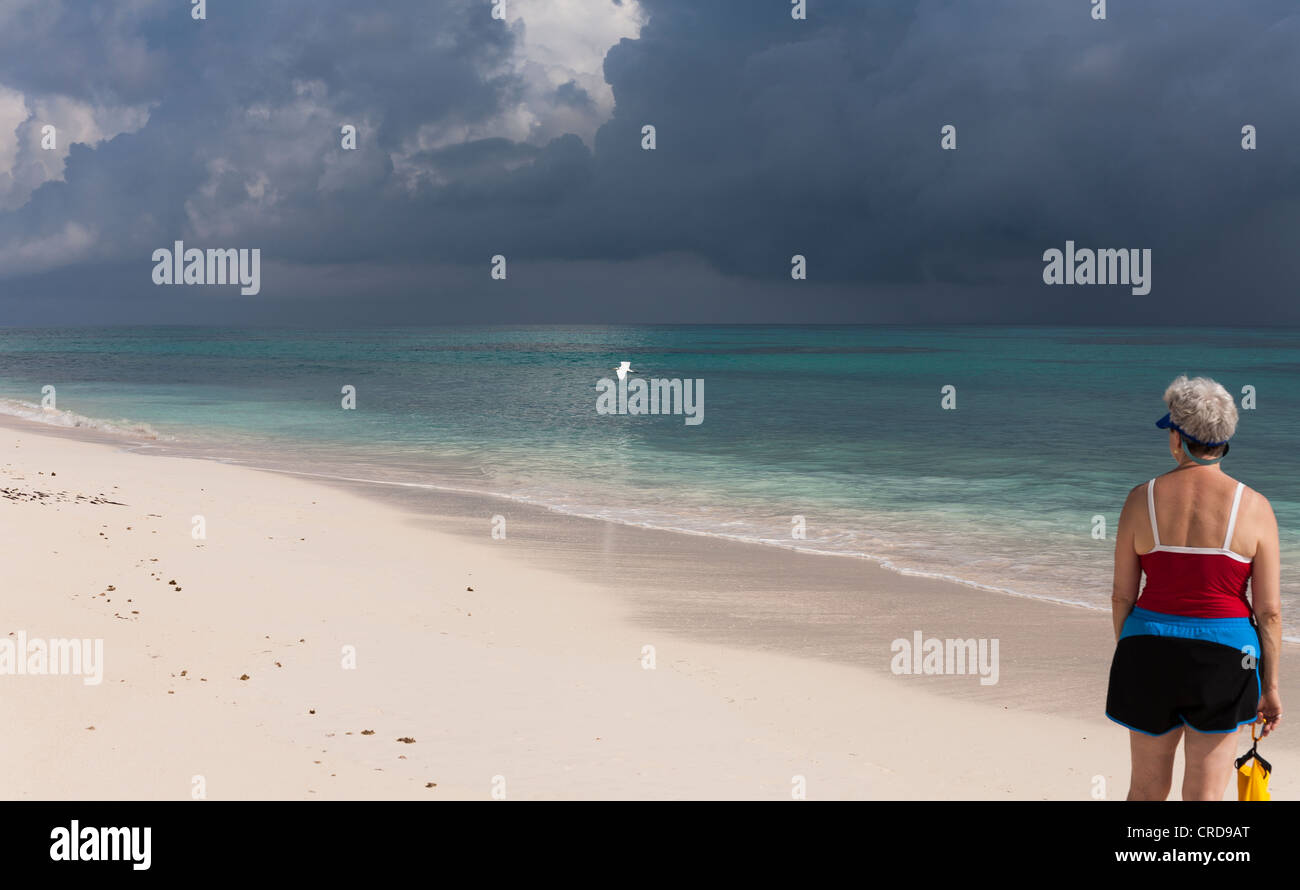 Bird watching in the caribbean hi-res stock photography and images - Alamy