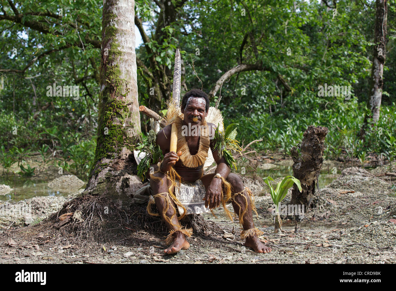Primitive people, Nendo, Santa Cruz Island, Solomon Islands, Melanesia ...