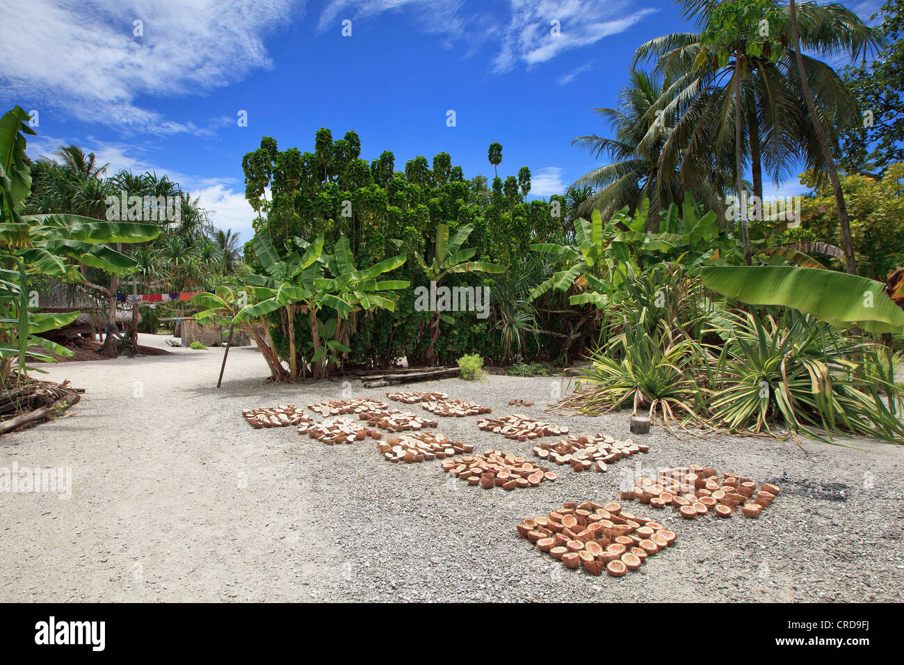 Nukuoro hi-res stock photography and images - Alamy